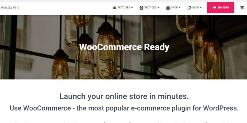 13 Best Elementor Themes for WooCommerce 2026